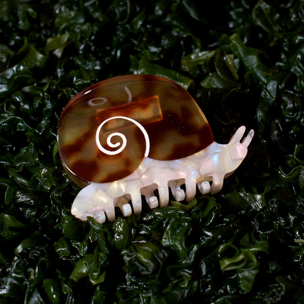 Sea Snail Claw | Winona Irene